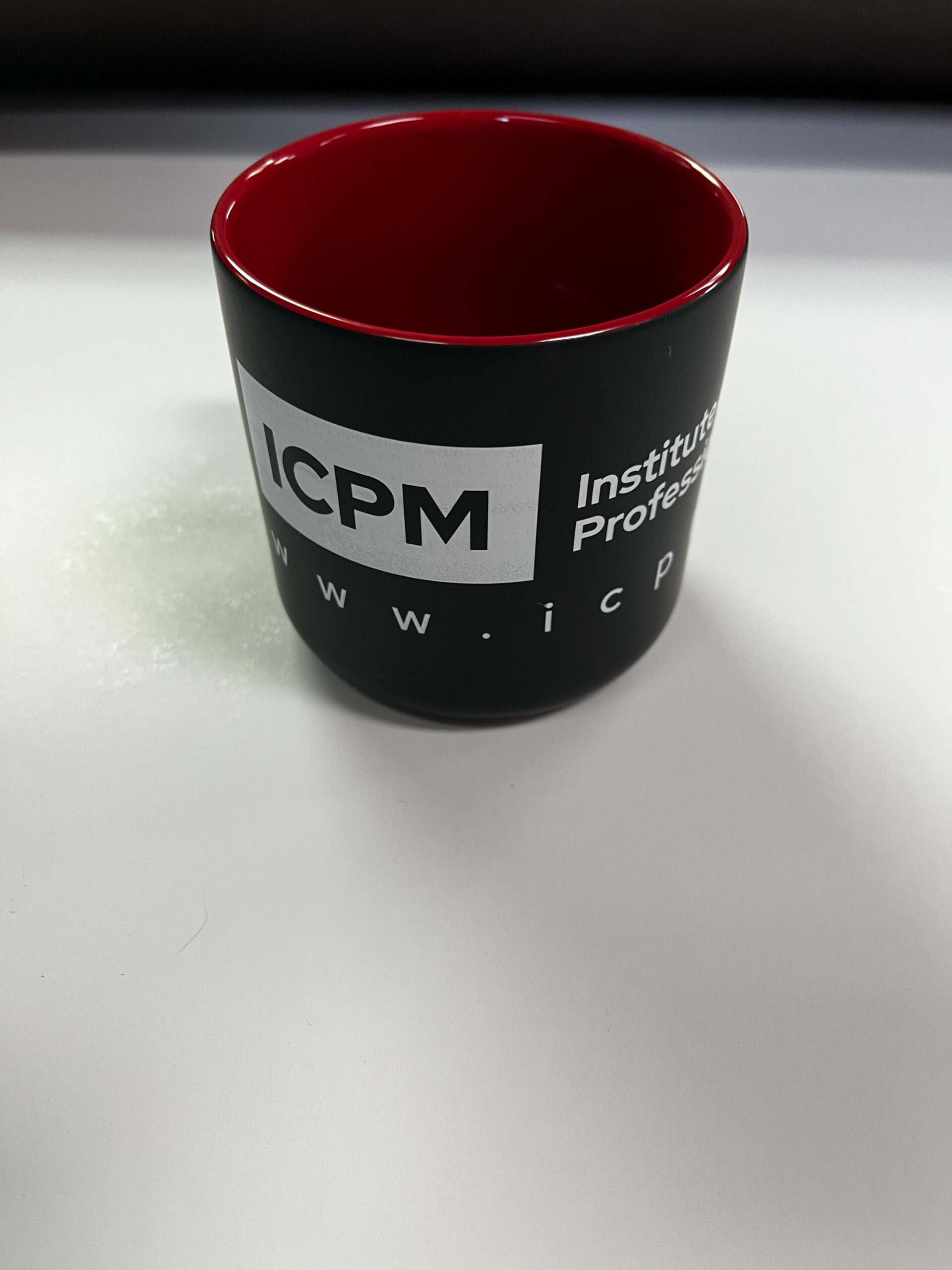 Coffee Mug - ICPM